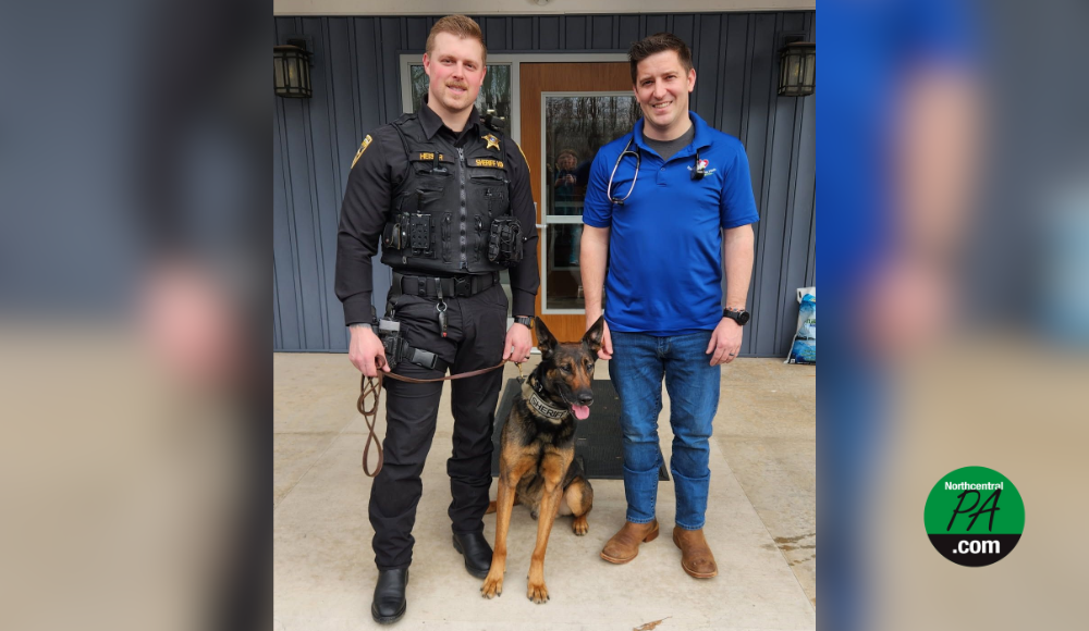 Union County K9 sniffs out alleged dog-snatcher | News | northcentralpa.com