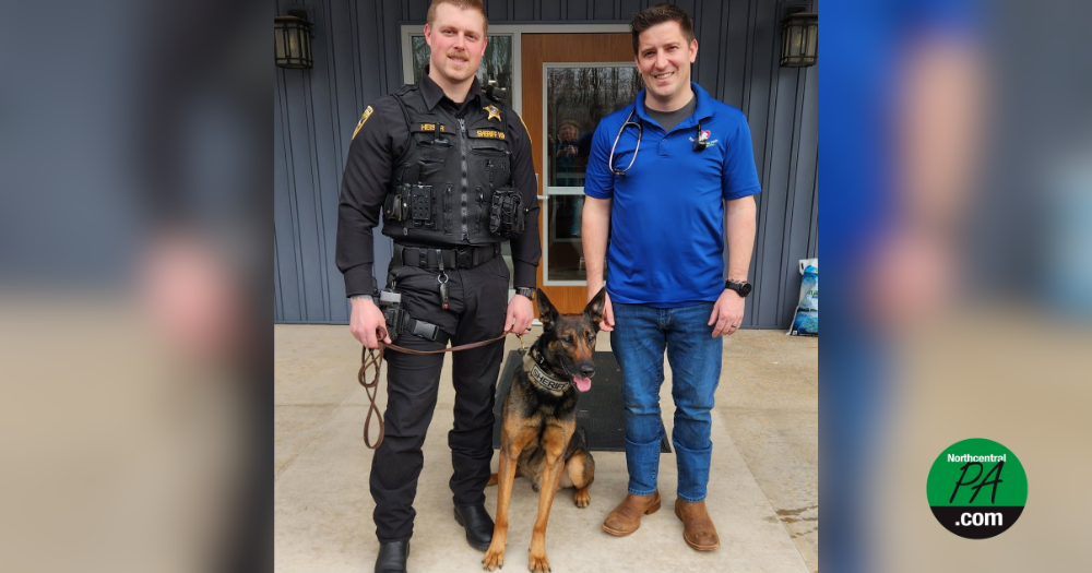 Union County K9 sniffs out alleged dog-snatcher | News | northcentralpa.com