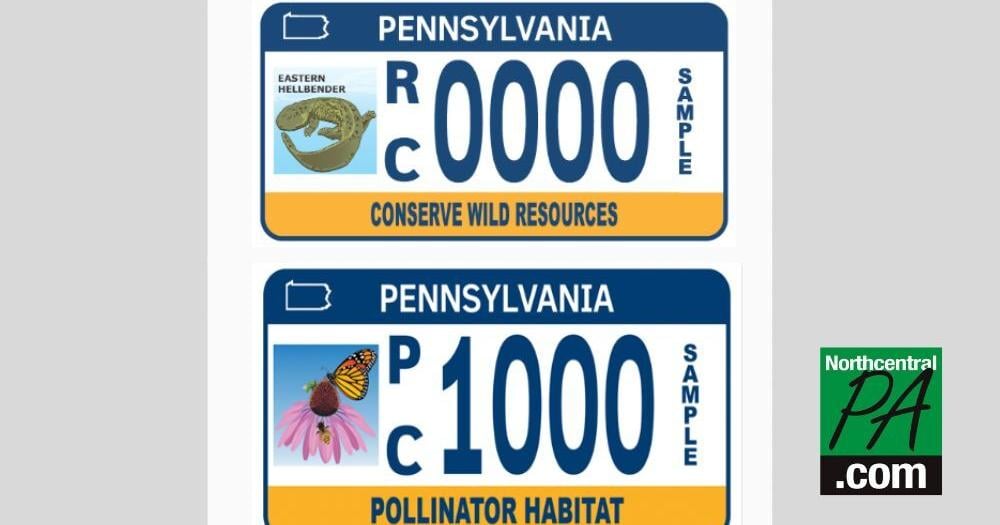 Eastern hellbender, pollinator habitat vehicle license plates now ...
