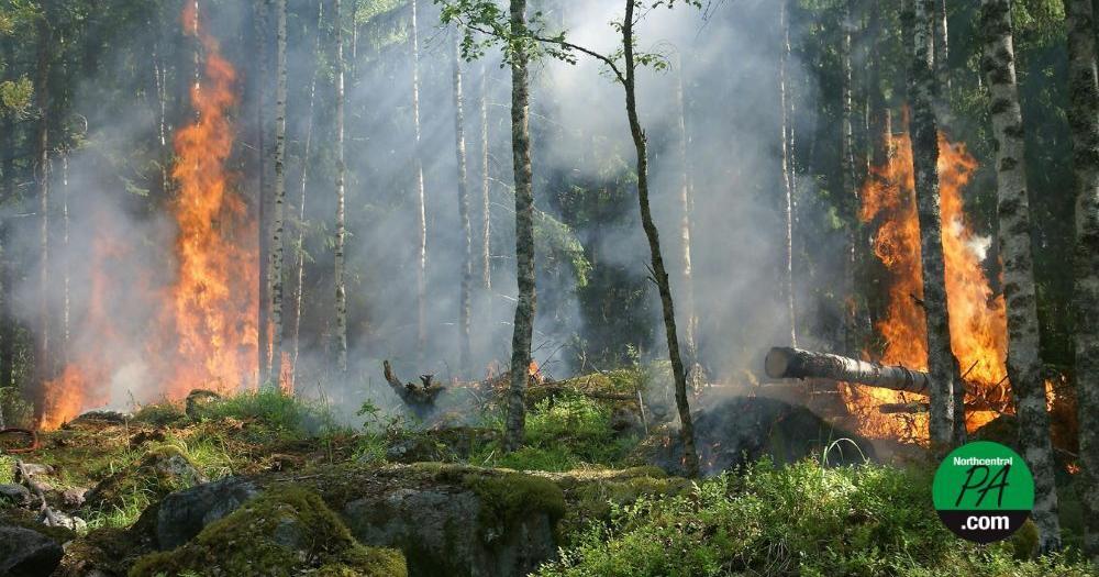 Lycoming, Sullivan county fire companies receive wildfire protection ...