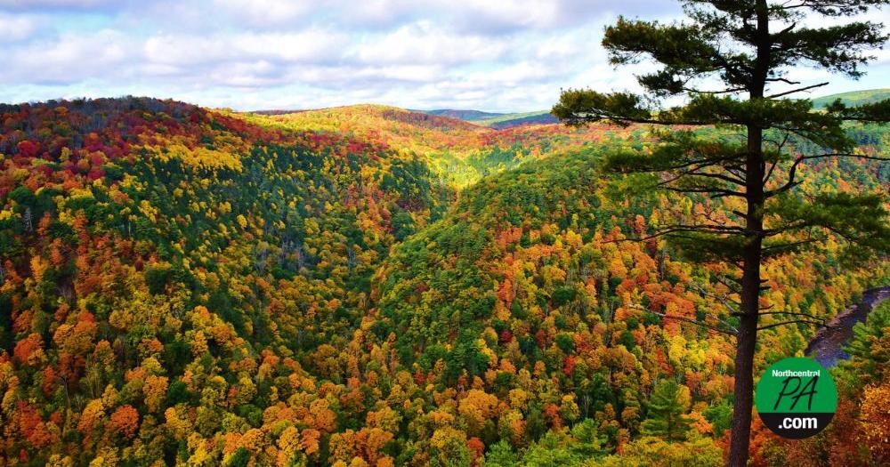 Potter-Tioga region named in USA TODAY's top five fall color ...