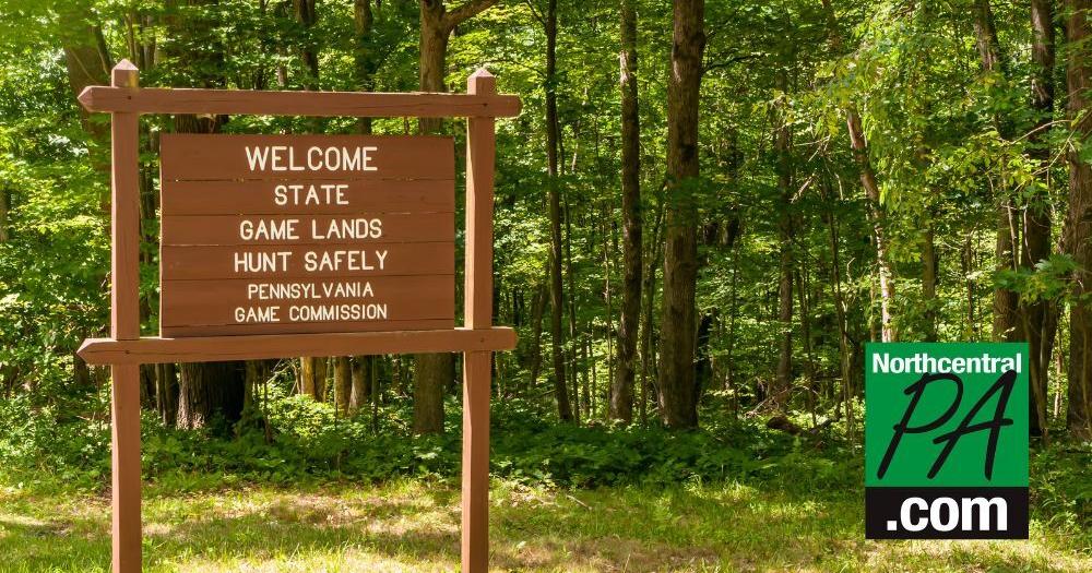 DCNR opens more state roads for fall recreational use | Life ...