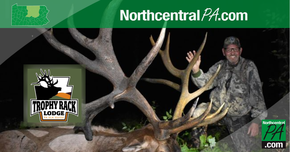 Massive elk sets new archery record: Largest in Pennsylvania history ...
