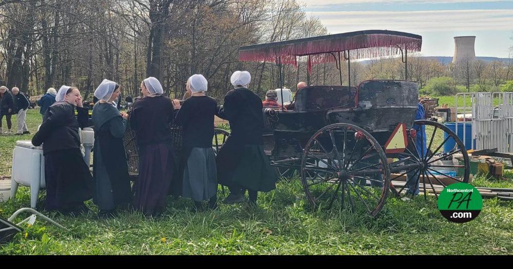 Annual Amish auction draws crowd | Community | northcentralpa.com