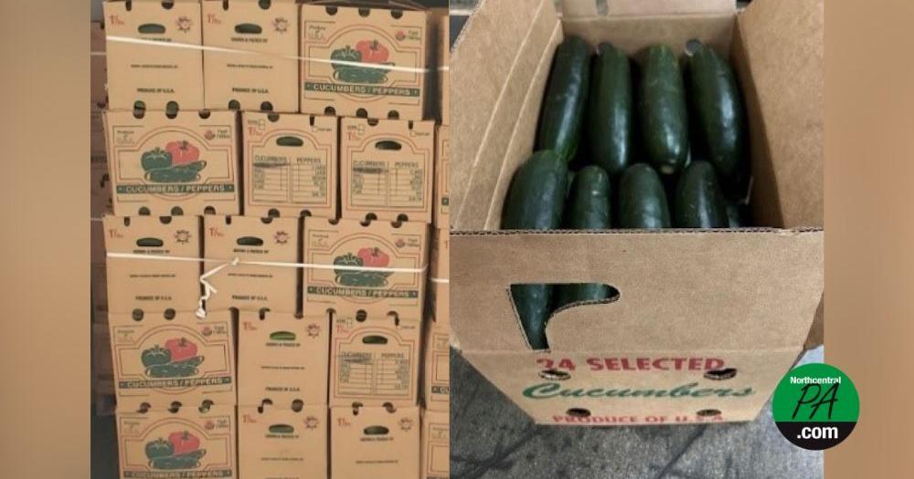 Fresh Start produce sales recalls cucumbers due to potential salmonella ...