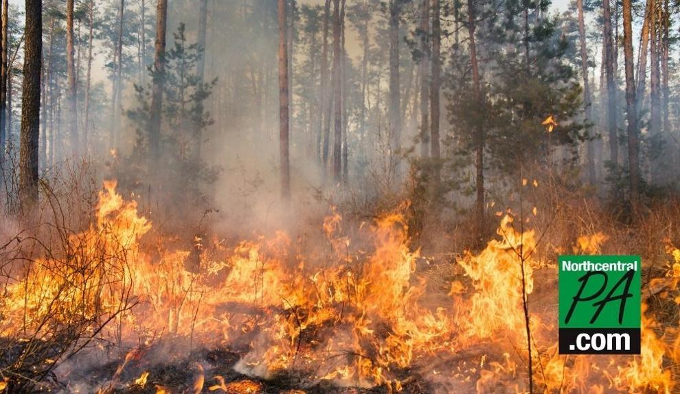 DCNR: Over 99 percent of Pennsylvania wildfires caused by people ...