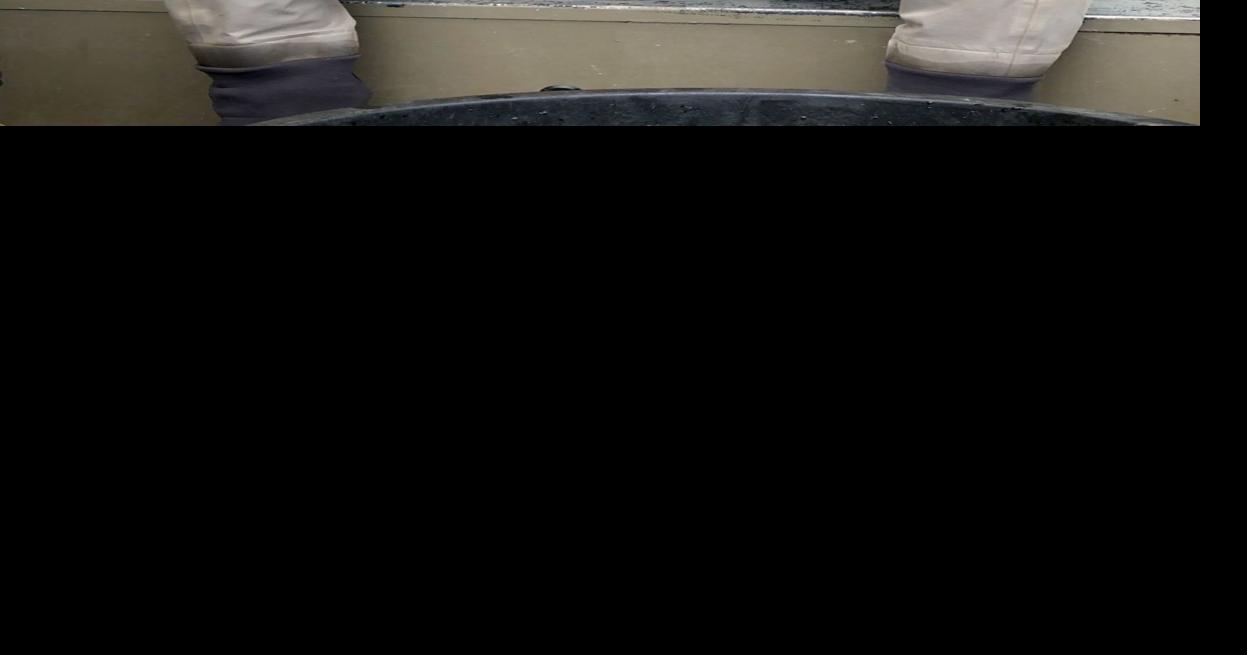 Anglers urged to report, dispose of invasive northern snakeheads if ...