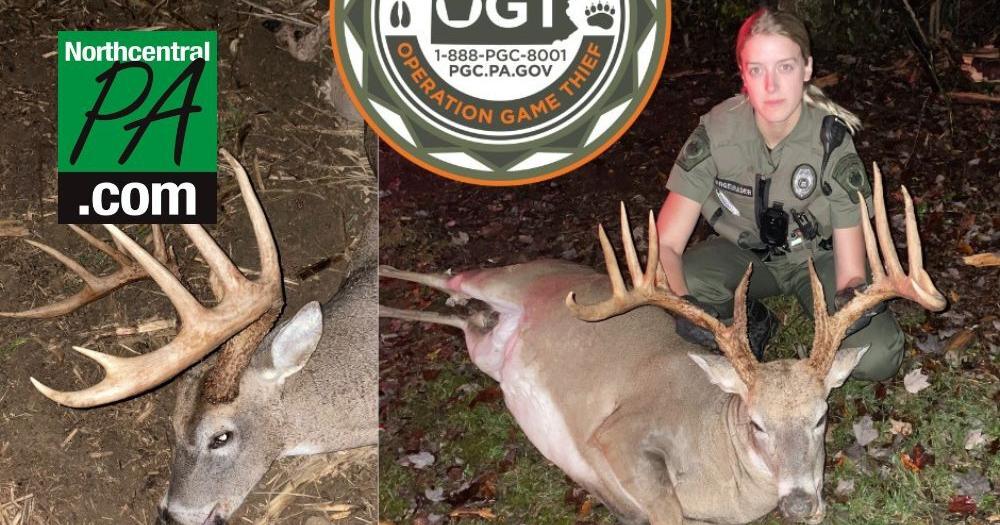 Pennsylvania Game Commission looking for alleged deer poacher | Crime ...