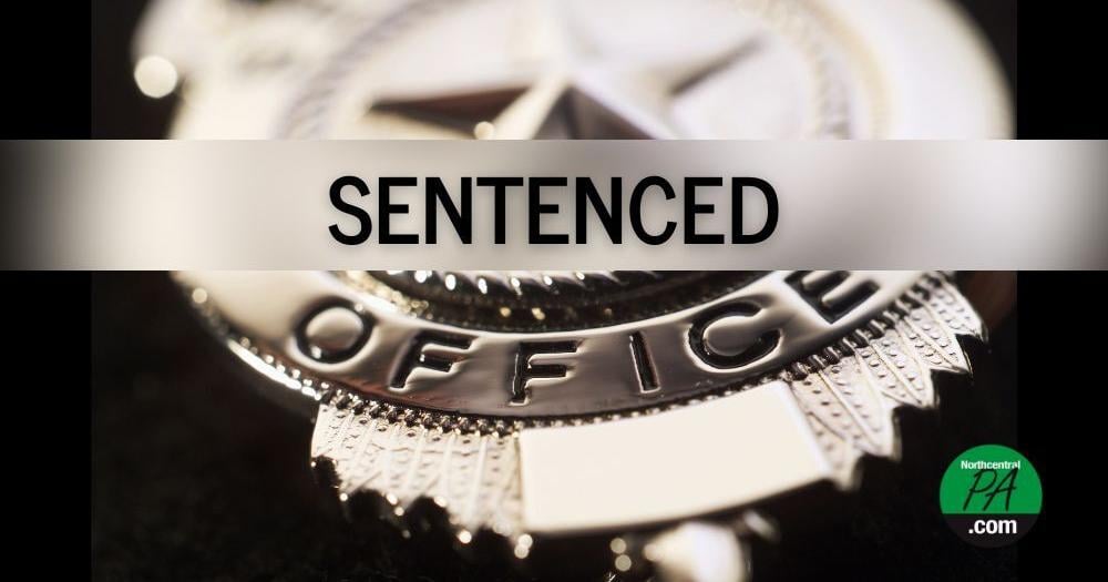 Former Pa. police officer sentenced to jail on theft charges | News ...