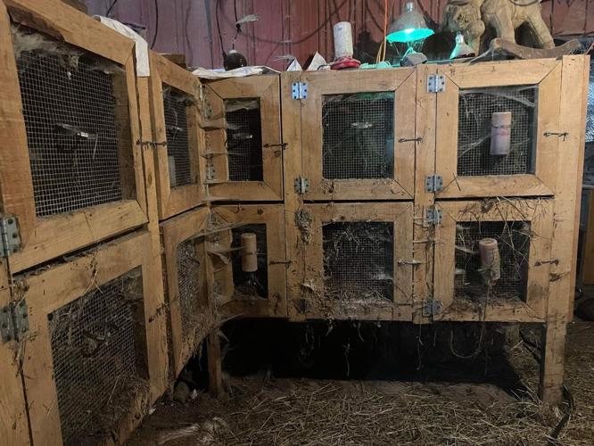 Police raid farm and seize animals | News | northcentralpa.com