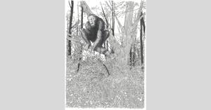 Susquehanna Greenway ghouls & legends | Feature Stories ...