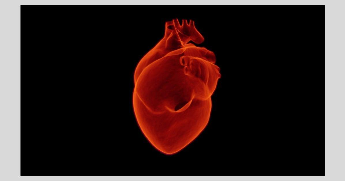 What is a widowmaker heart attack? | Life | northcentralpa.com