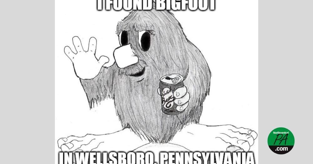 'Totally Ninja Raccoons' Hunt returns this August | News ...