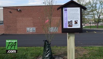 Danville community park project gets underway | Community ...