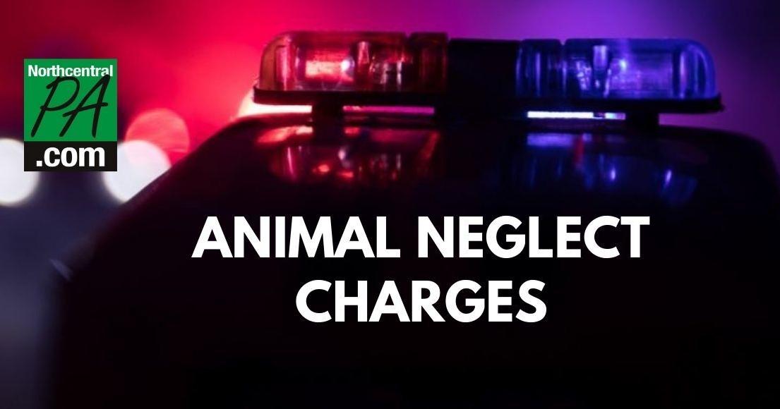 Alleged animal neglect leads Humane Society police officer to ...