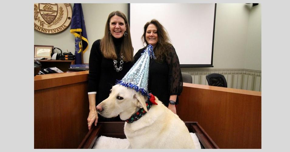 Lycoming County facility dog Jedi celebrates 4th birthday | On The ...