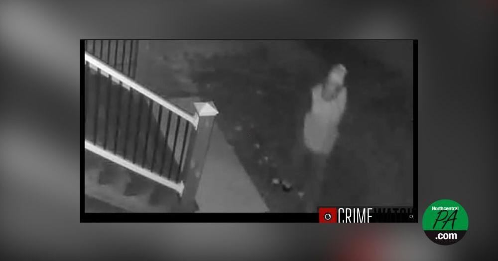 Lycoming PD: Man loitering, prowling around home in Waterville | News ...