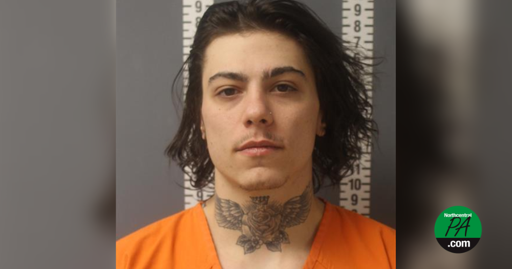 Police: Man assaults woman, rams car during custody dispute | News ...