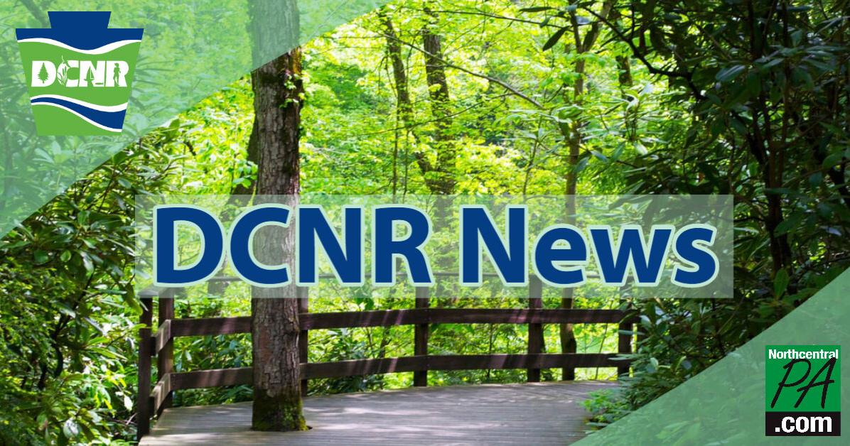 DCNR issues overcrowding warning for state parks and forests | State ...
