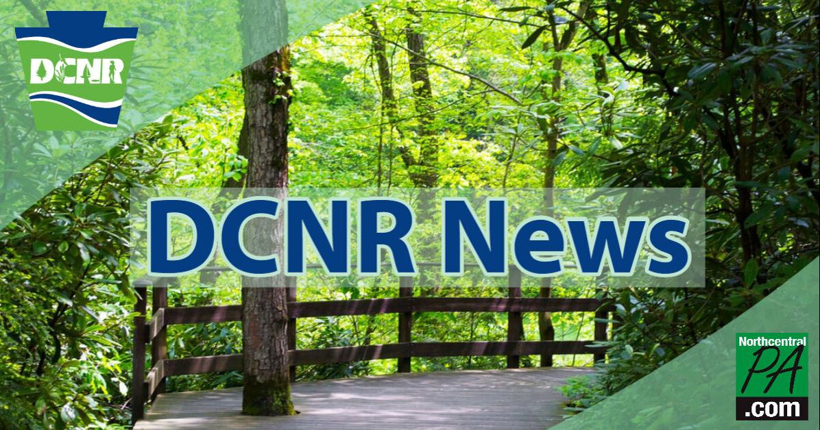 DCNR issues overcrowding warning for state parks and forests | State ...