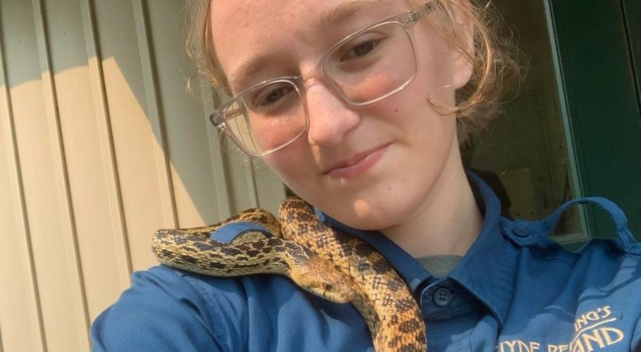 From roadside attraction to accredited zoo, Reptiland celebrates 60 ...