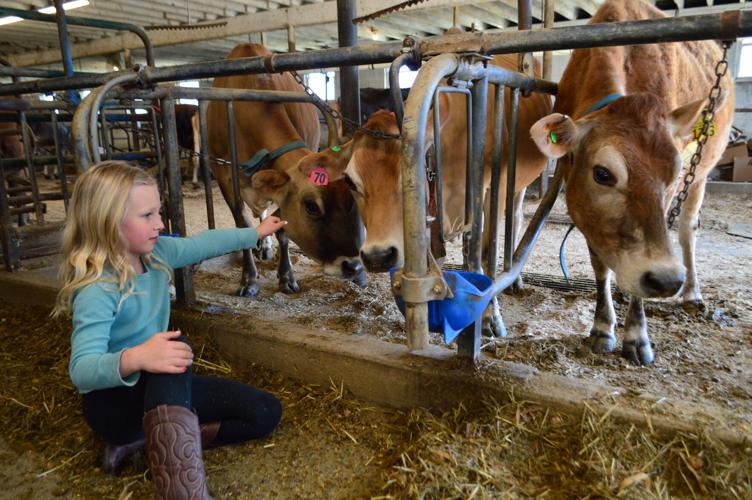 Third generation farmer now offers raw milk | News | northcentralpa.com