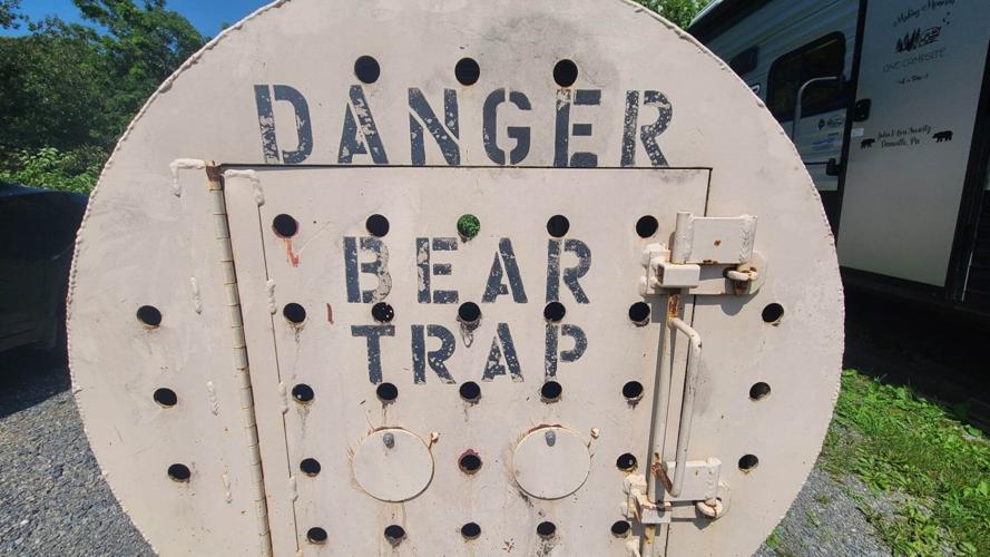 Man survives bear attack | Life | northcentralpa.com