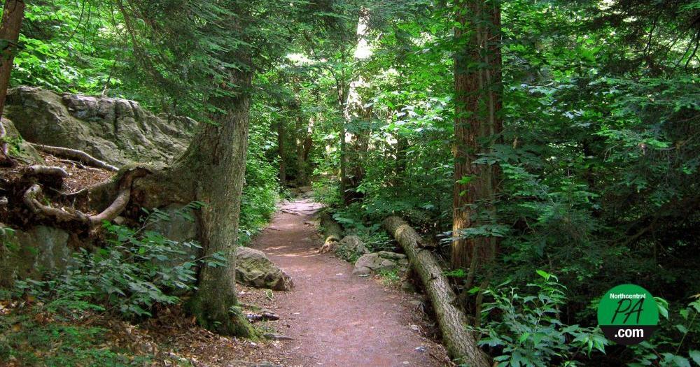 DCNR launches digital trail data resource covering 119 Pa. parks ...