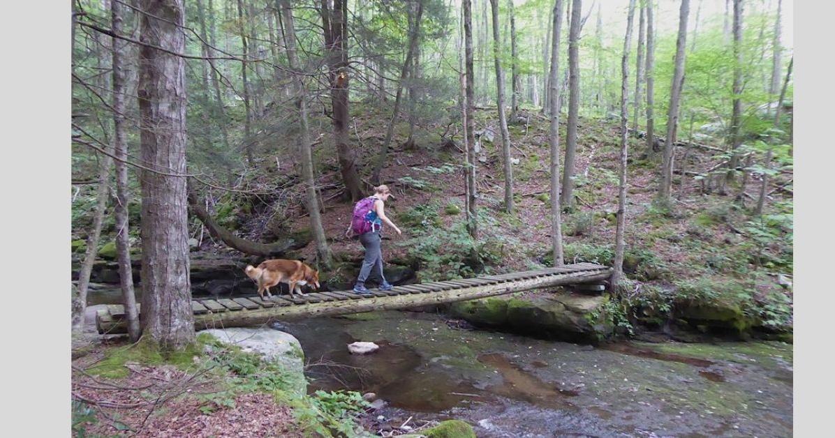 New Loyalsock state forest map available from Pennsylvania cartography ...