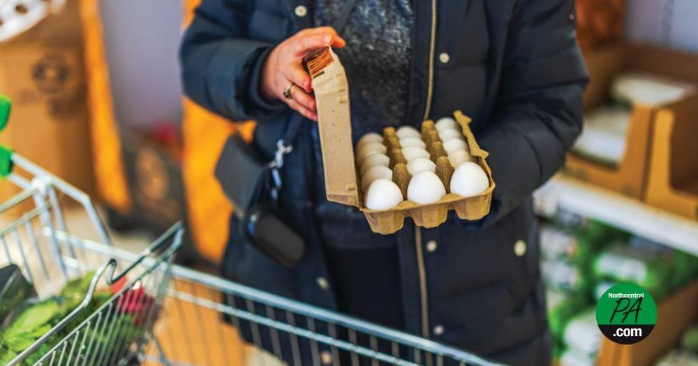 Pennsylvania egg brand agrees to drop ‘free-roaming’ label | Business ...