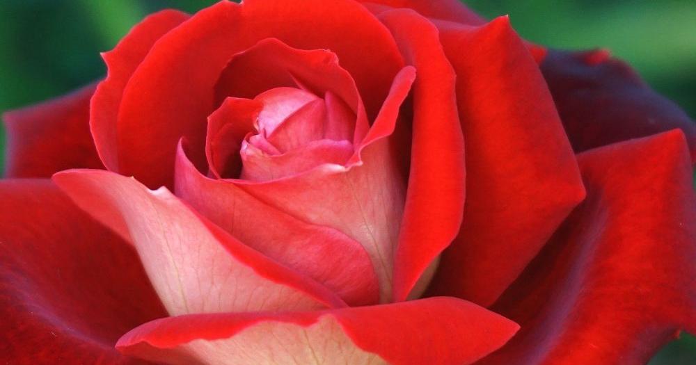 Nancy K. Eshbach | Obituaries | northcentralpa.com
