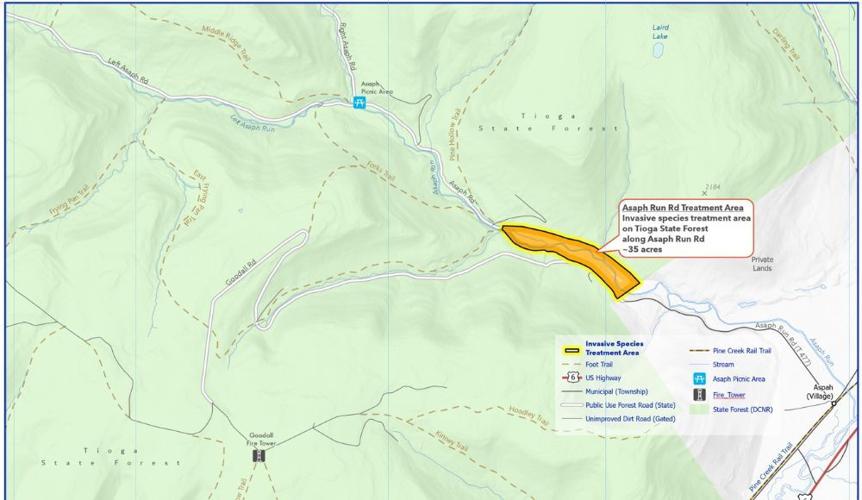 Restoring balance: Seneca Resources leads invasive species treatment ...