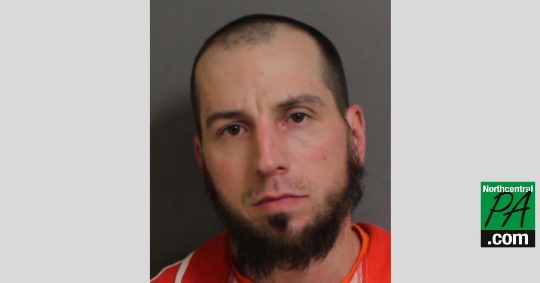 Renovo man allegedly drove truck into police vehicle with K9 inside ...