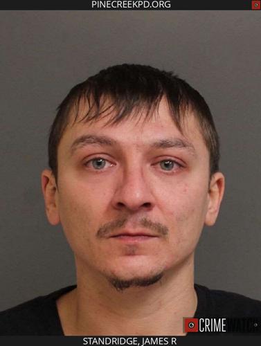 Individual who shot dog, left it to die pled guilty | News ...