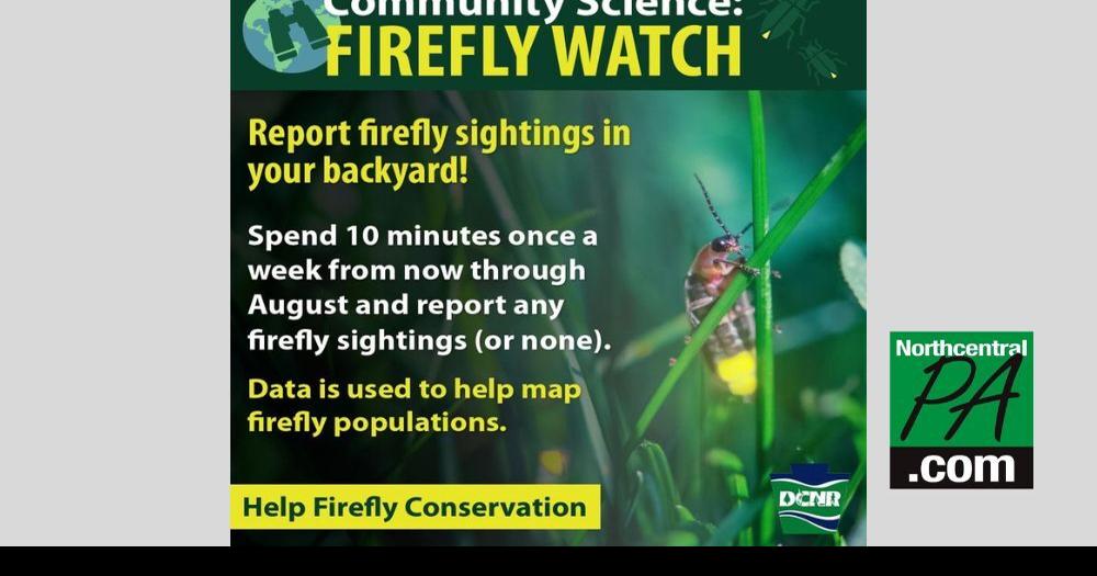Watch fireflies for science this summer | Community | northcentralpa.com