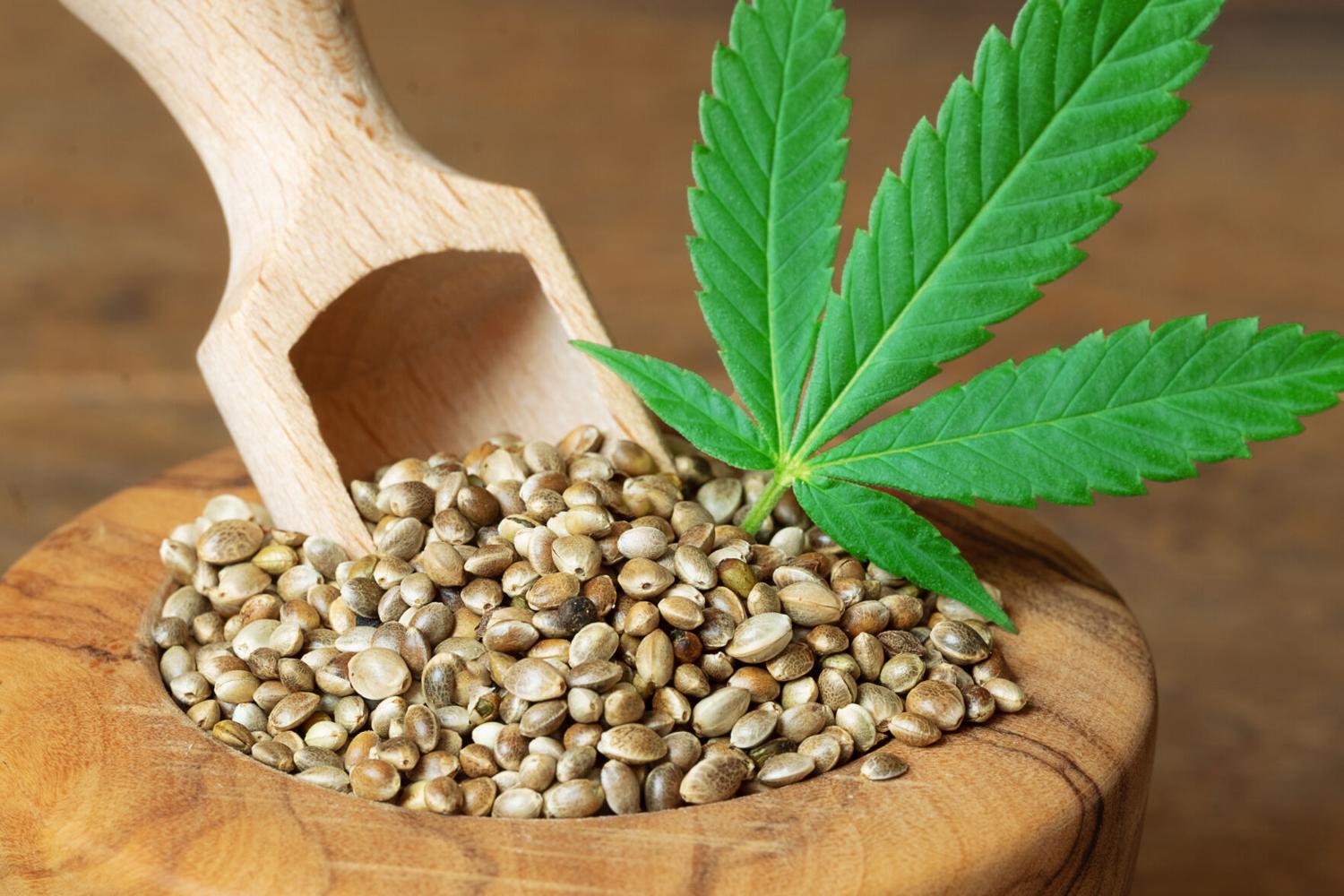 Hemp in Vermont: history, hype, and hope | Opinion | northstarmonthly.com