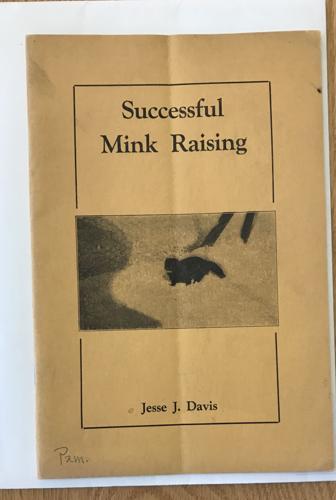 Vermont's Mink Boom: Unpacking the Legacy of Fur Farms | News, Features ...