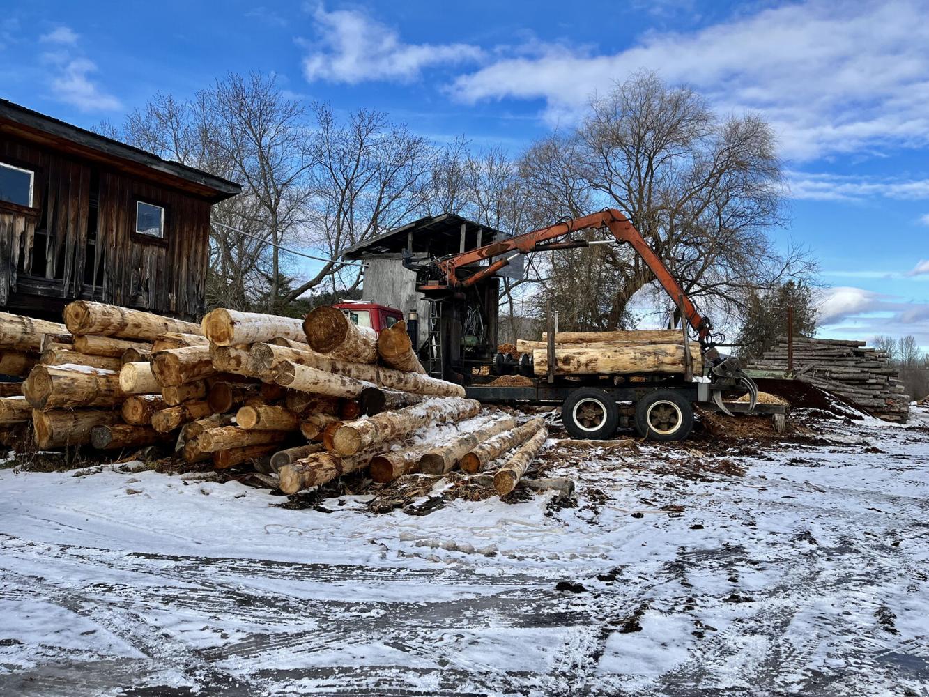 Family-Operated Sawmills: Preserving the Lumber Tradition | News ...