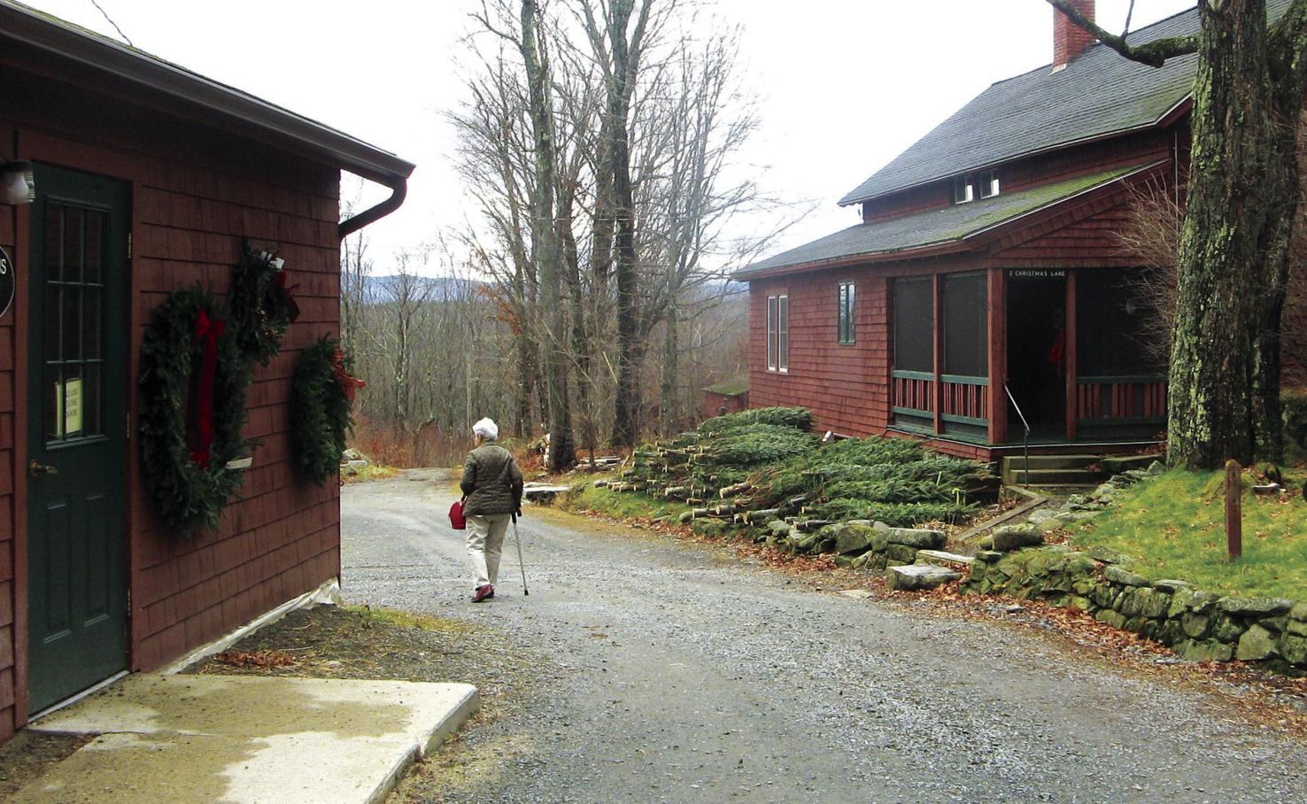Winter Walks without a backpack...just do it! | News, Features from the ...