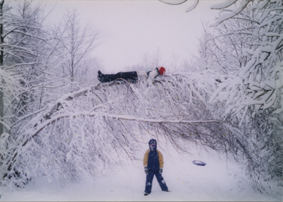 Is early winter, surely winter? Snow in October | Columns from ...