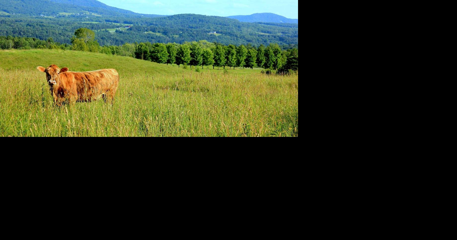 Holland: Where Wilderness Meets Vermont-Quebec Border | Northeast ...
