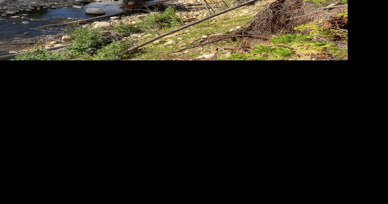 Hiking the Wild River Trail: A Journey Through History | Columns from ...