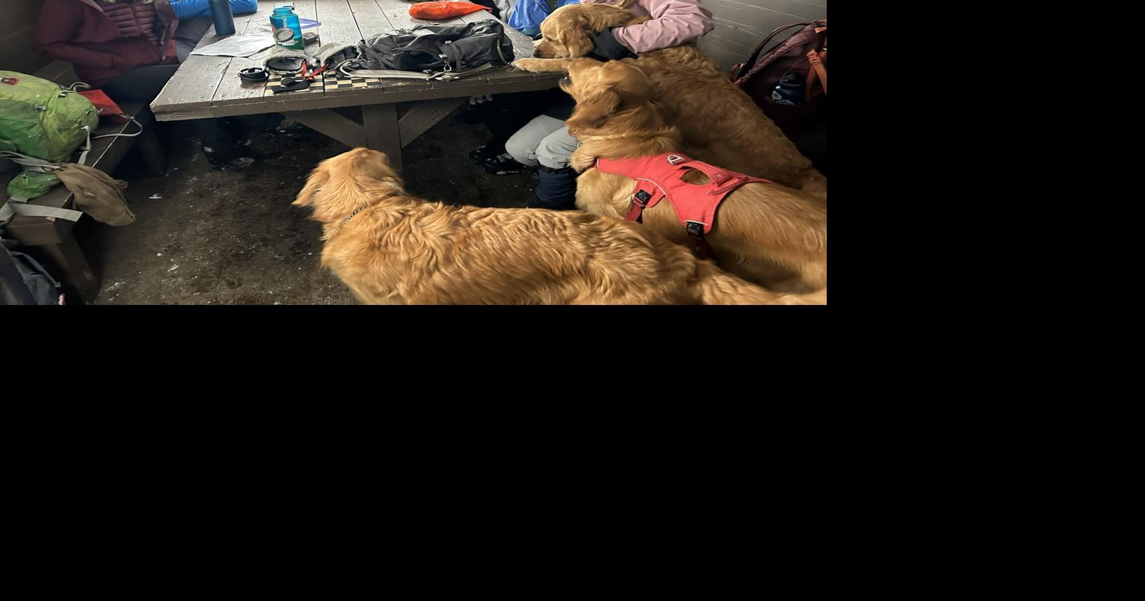 Celebrating winter's longest night atop Bald Mountain | News, Features ...