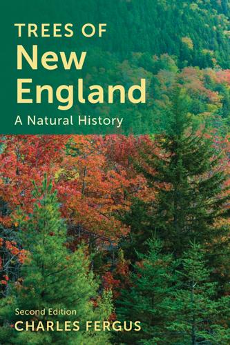 Naturalist Charles Fergus: Exploring New England's Trees | NEK News, Local Headlines, Vermont ...