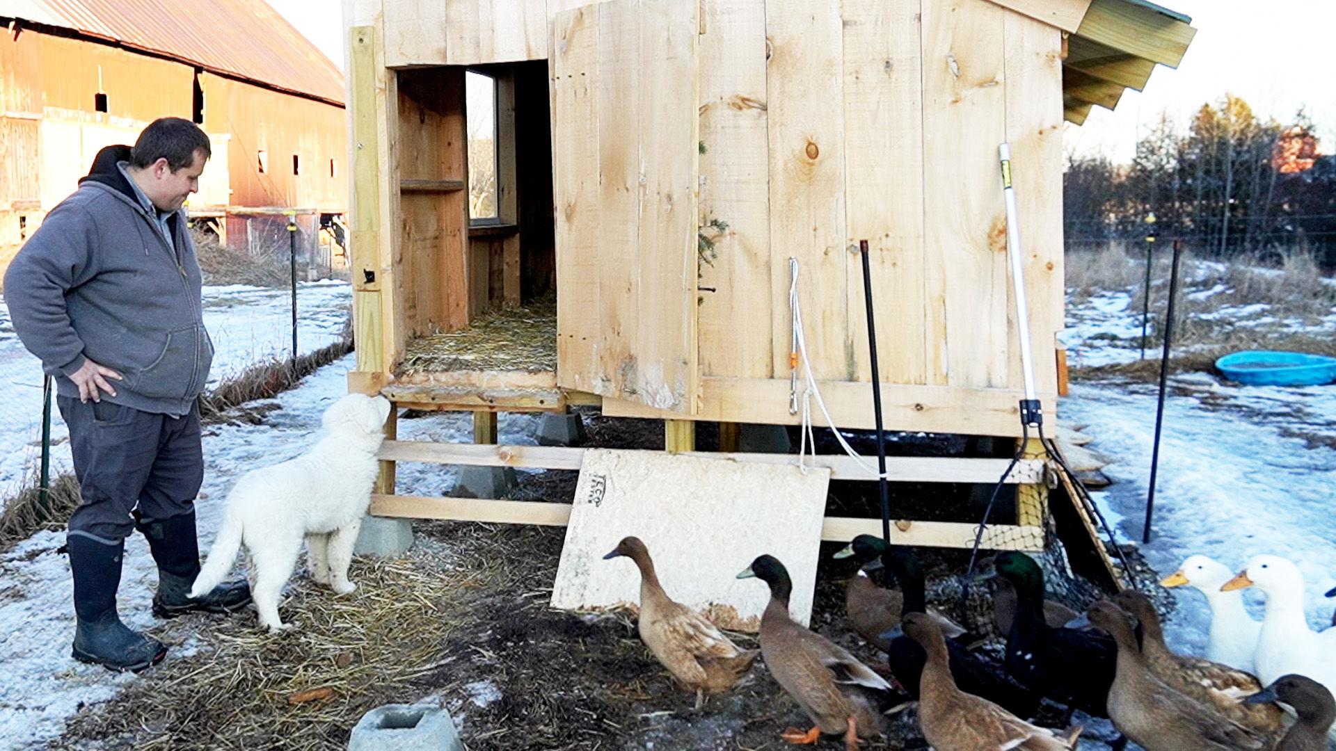 Peacham farmer employs social media as a tool for growth | People from ...