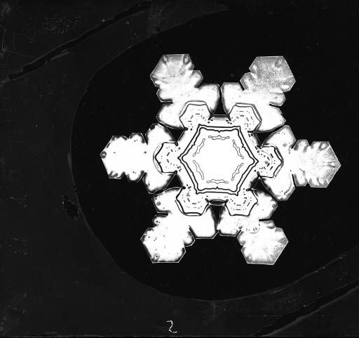 In the bleak mid-winter, the magic of a snowflake | Columns from ...