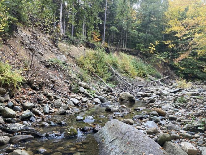 Understanding the glacial till shaping our landscape | News, Features ...