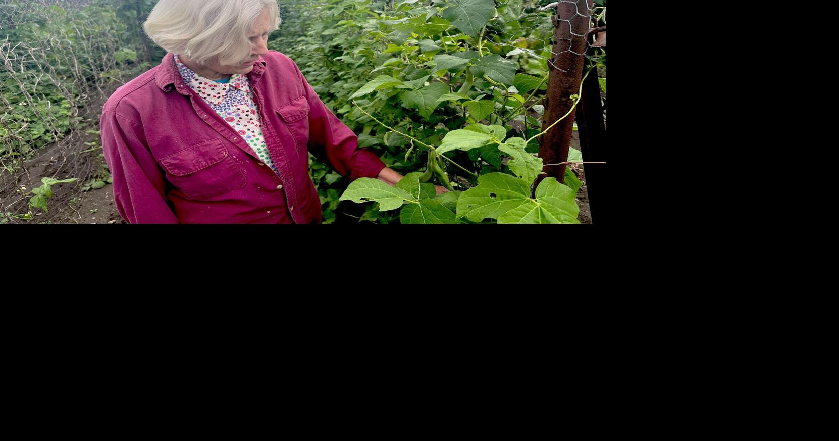 Sen. Jane Kitchel: an architect of social service change | Profiles ...