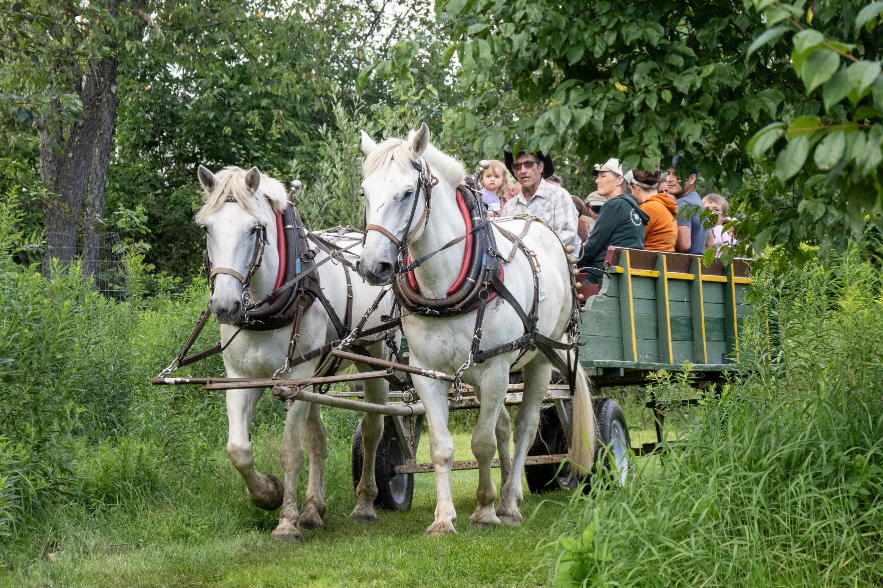 5th Annual Community Farm & Food Celebration at Atkins Field | Upcoming ...