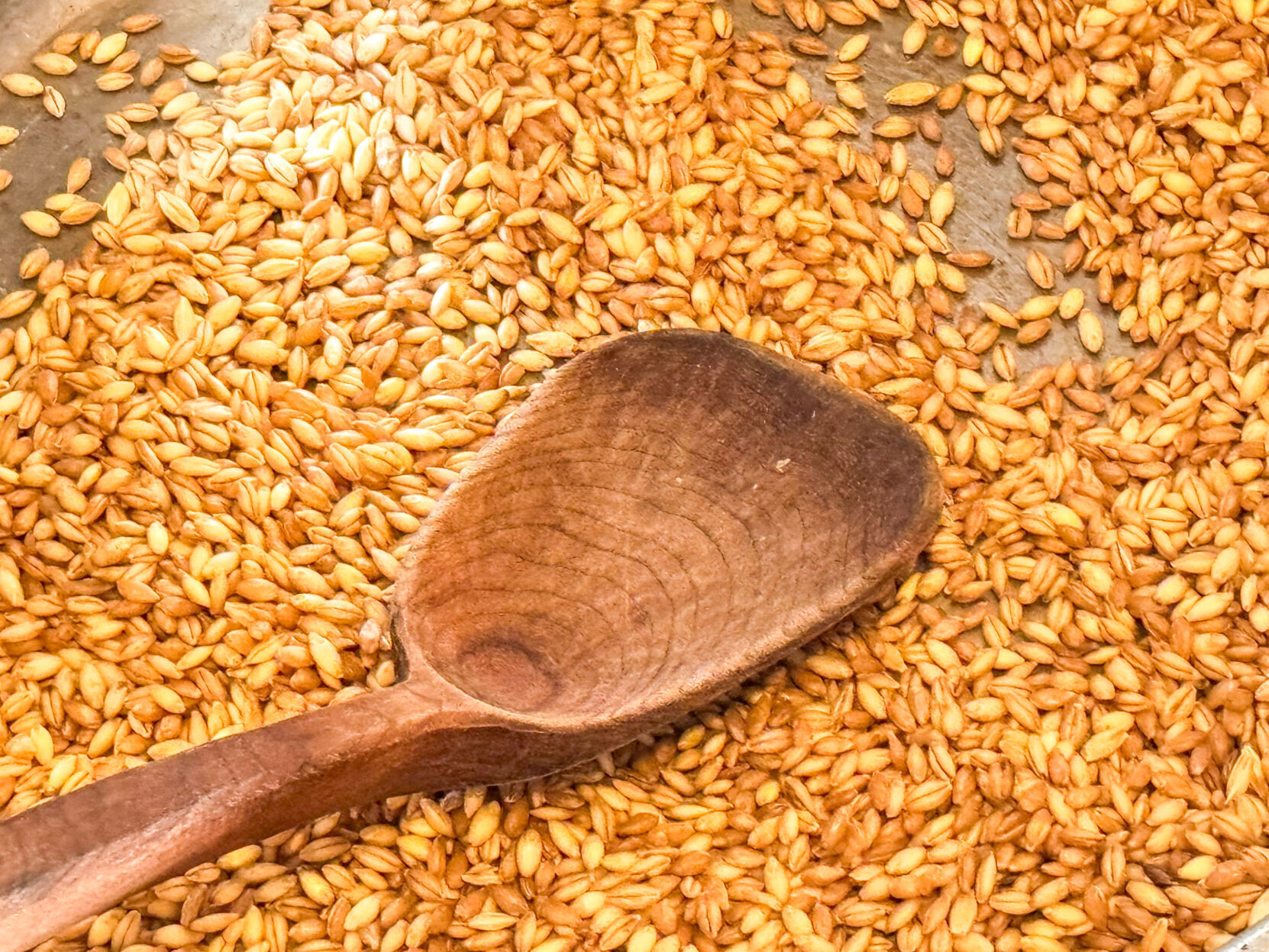 Historical cooking project keeps winter meals interesting | Traditional ...